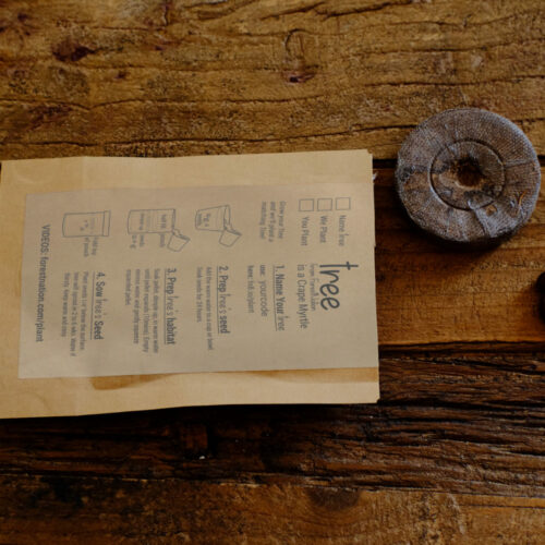 Nature Lover, Celebrate Earth, ForestNation Tree kit Gift