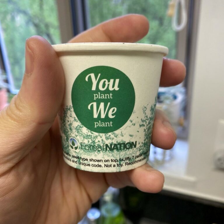 Virgo Zodiac Tree - SHOP FN