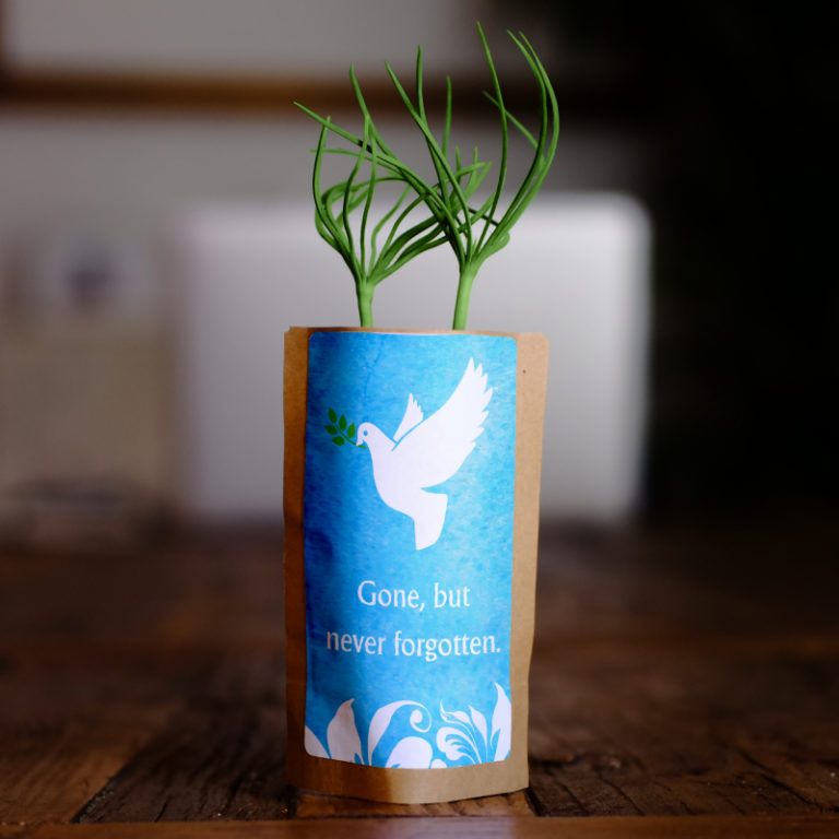 Sympathy Dove, Tree kit gift, ForestNation