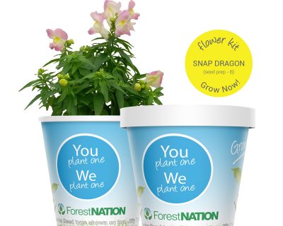 You plant one we plant one growing kits - ForestNation