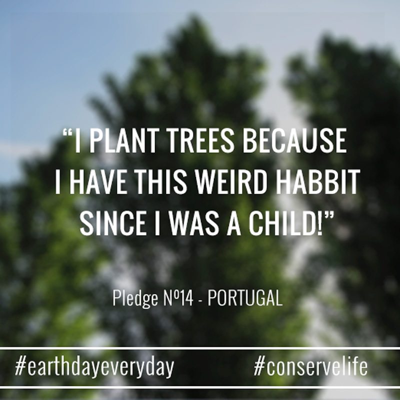 Earth Day - Earth Day #pledgetoplant - ForestNation