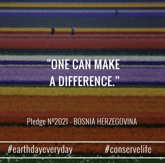 Earth Day - Earth Day #pledgetoplant - ForestNation