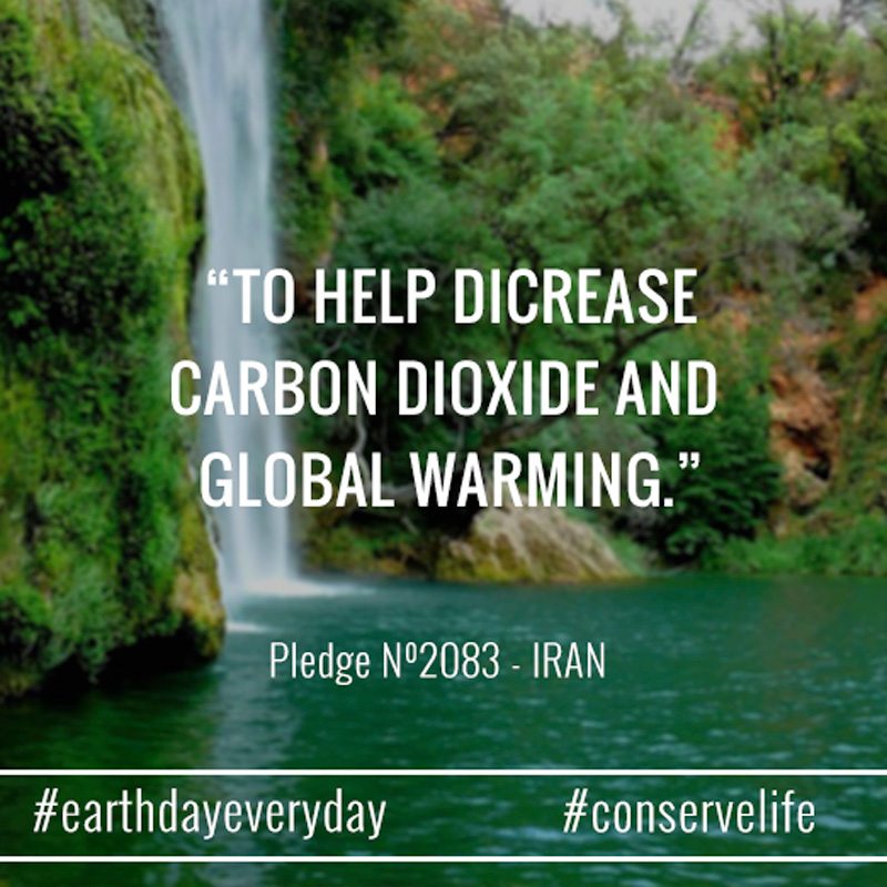 Earth Day - Earth Day #pledgetoplant - ForestNation