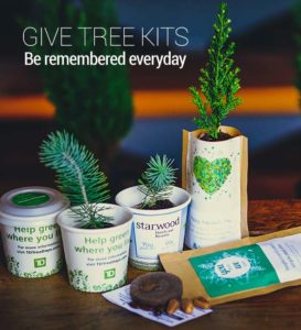 About Us - ForestNation's Mission
