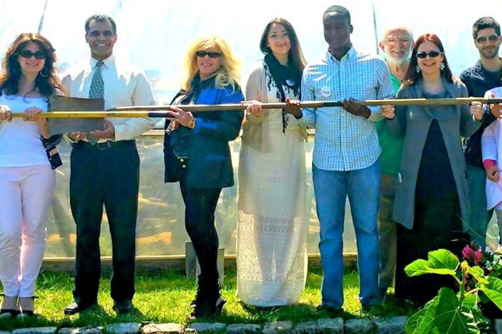 How To Set Up A 'Go Green' Campaign At Work--ForestNation