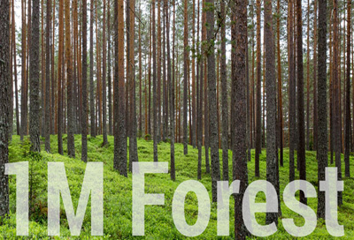 1 Million Tree Forest - ForestNation