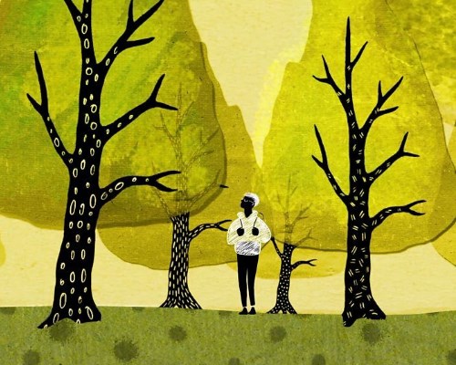 How trees secretly talk to each other - ForestNation