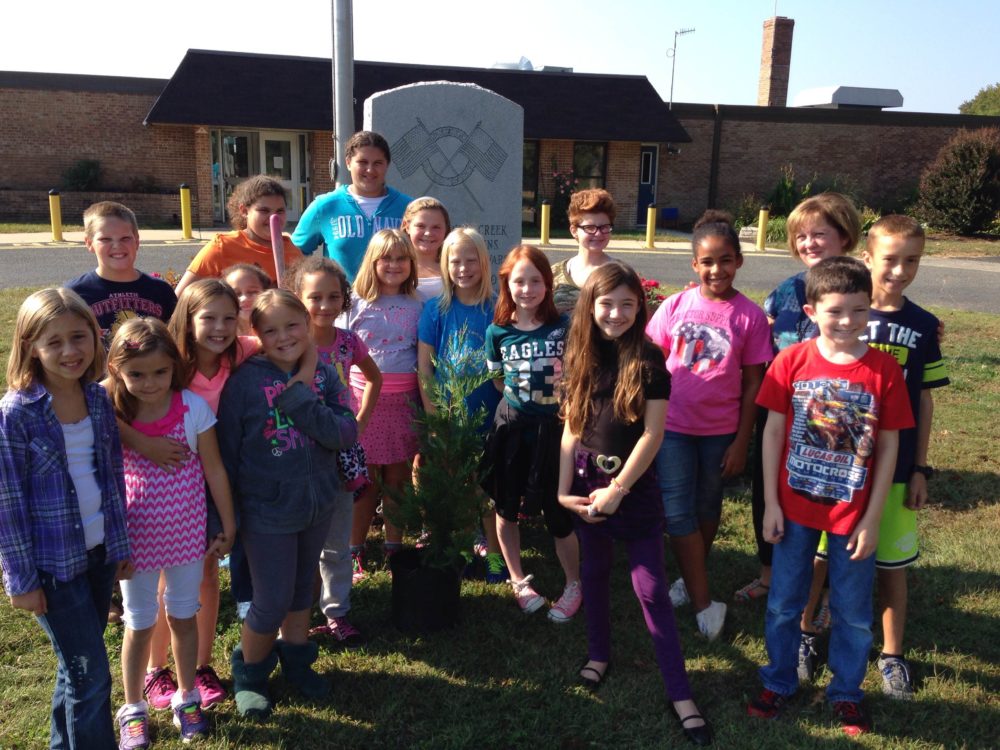 Trees For Quality Education