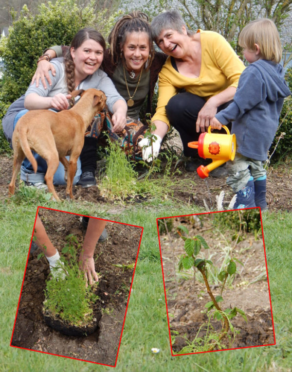 Thanksgiving tree planting day - ForestNation