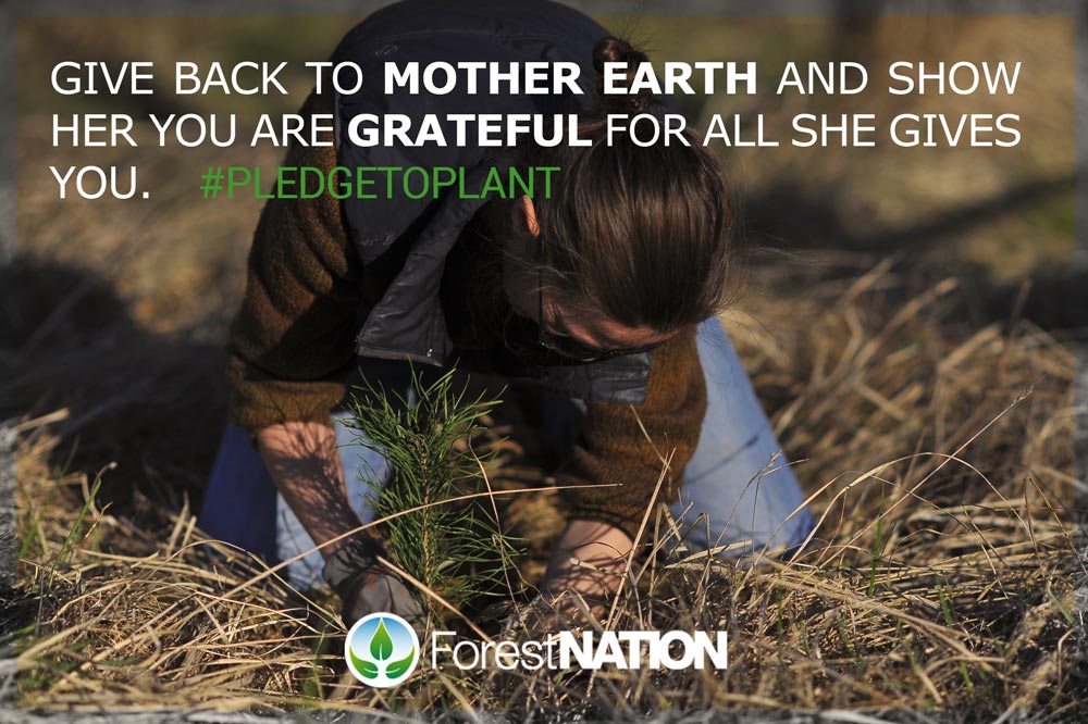 Thanksgiving tree planting day - ForestNation