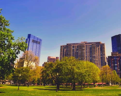 Why Cities Need Trees Quiz Page 1 of 0 - ForestNation