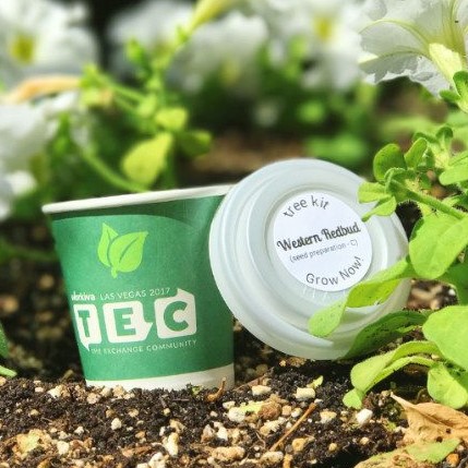 Sustainable promotional products - Grow a Tree Anywhere