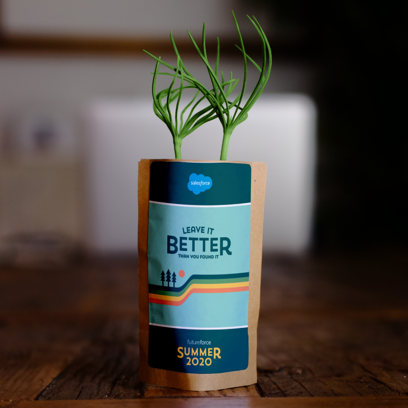 Sustainable promotional products - Grow a Tree Anywhere